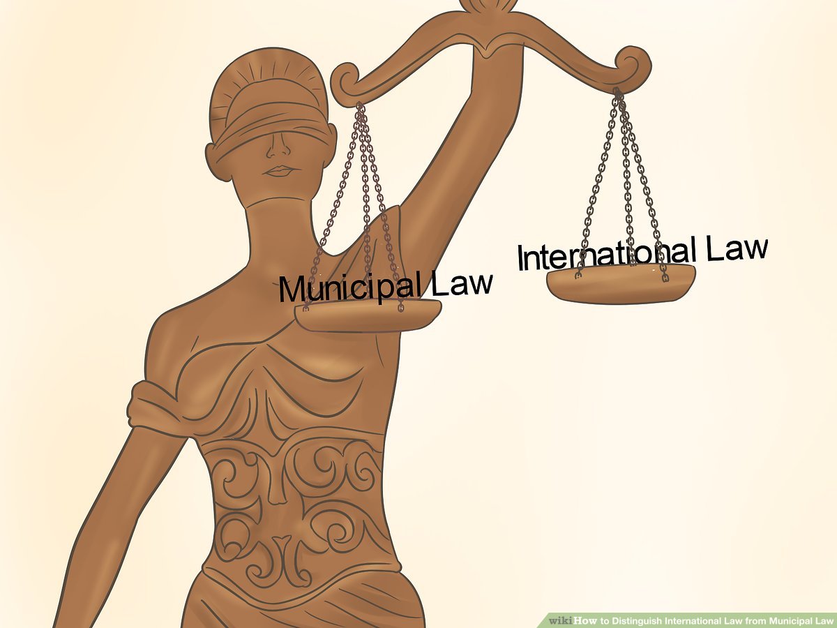 Relation between International Law and Municipal Law - Social Laws Today